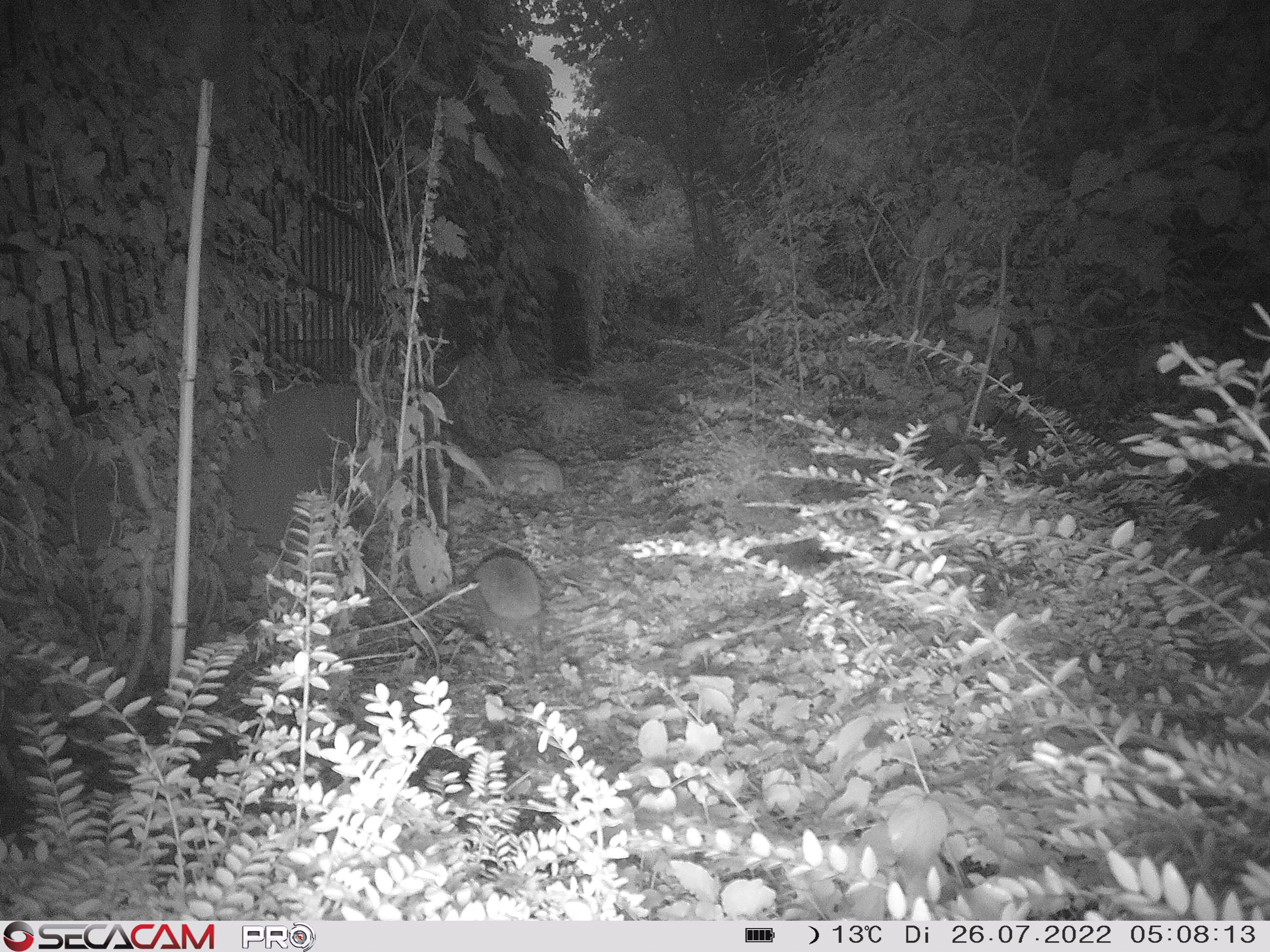 KI und Geoinformatik v2 Object Detection Dataset by KIGeoinformatik