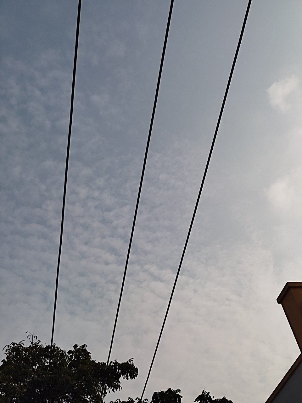 ddan_boc_tt Object Detection Dataset by 3BT