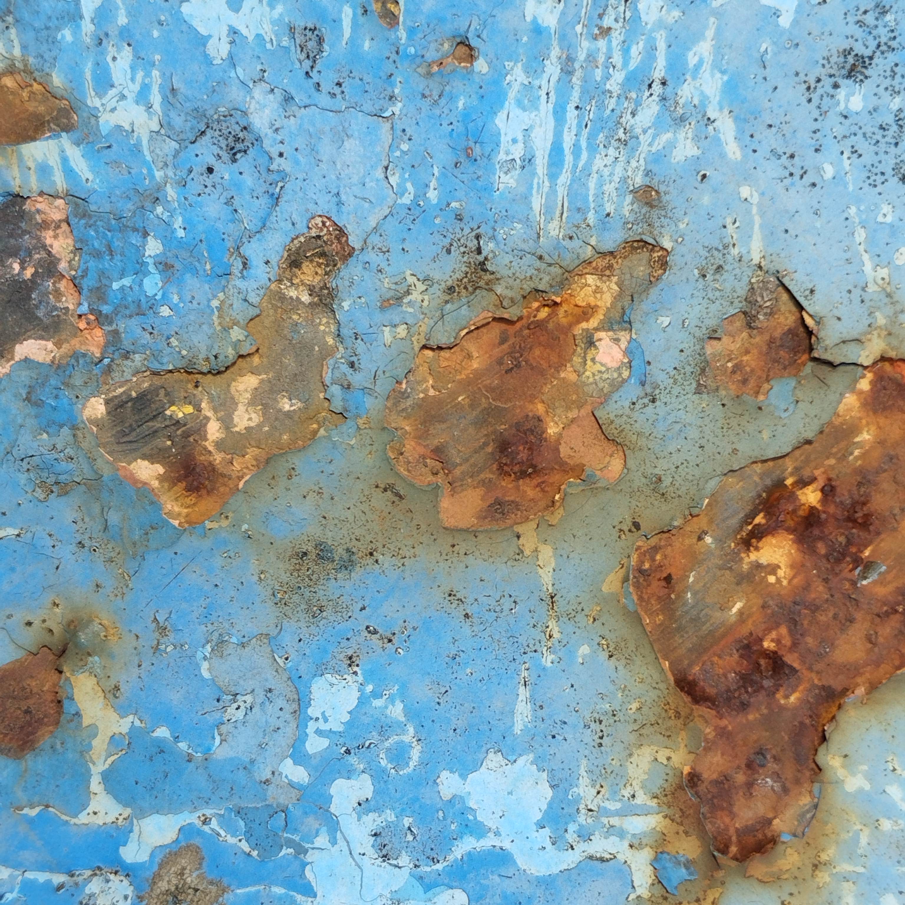 Rust PDAM Small Set Instance Segmentation Dataset and Pre-Trained Model by Guru Yosen