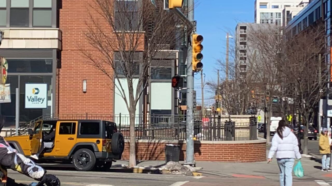 Final Dataset Fewer Object Detection Dataset And Pre Trained Model By Bibek