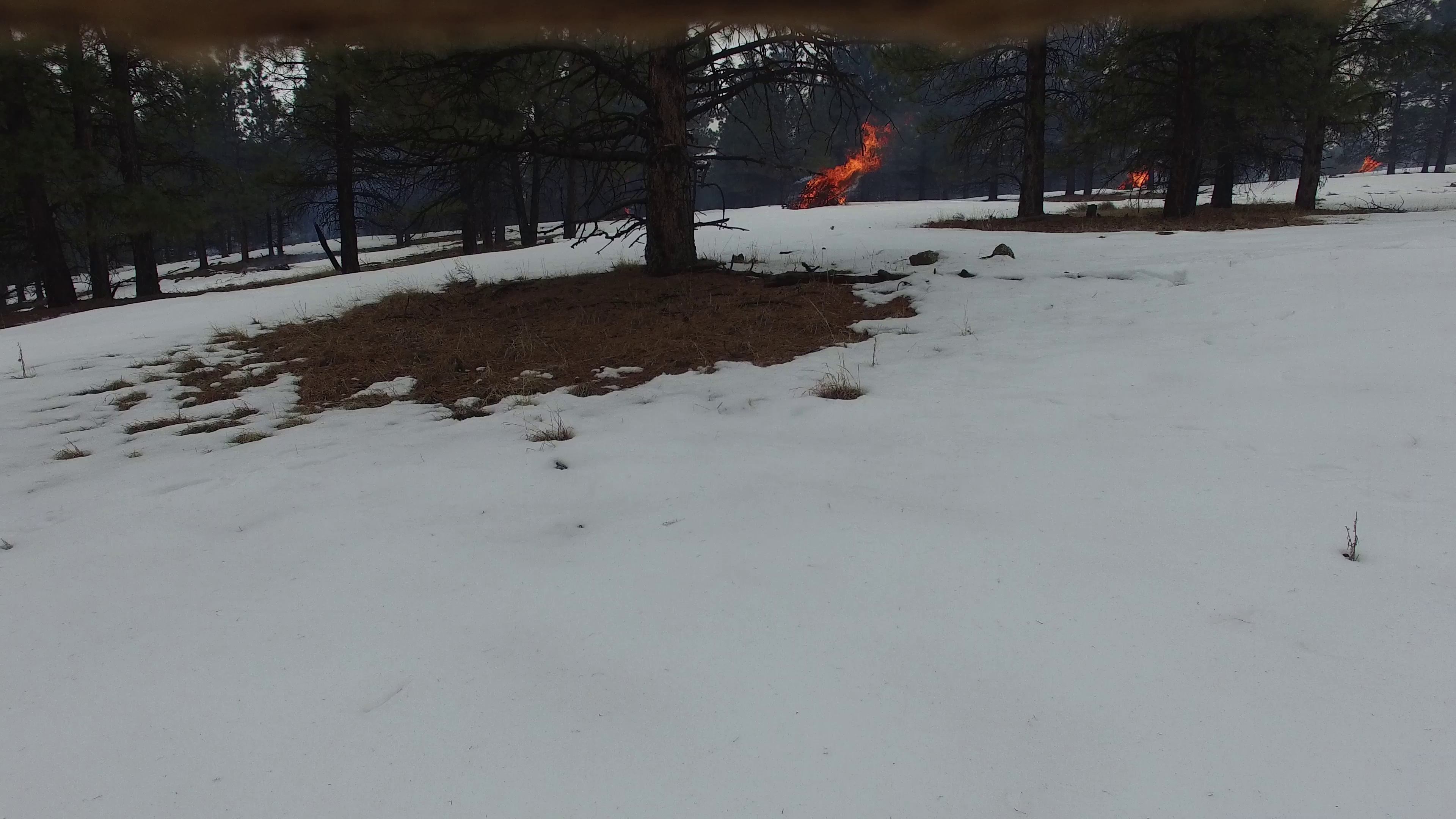 UAV-Fire Object Detection Model by CS EE