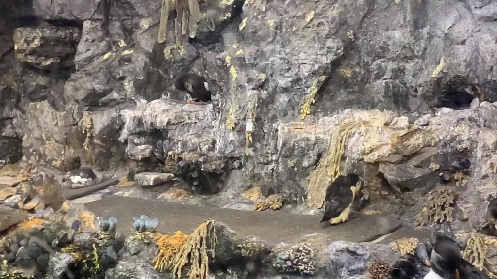 YOLO8 Object Detection Dataset by YOLO