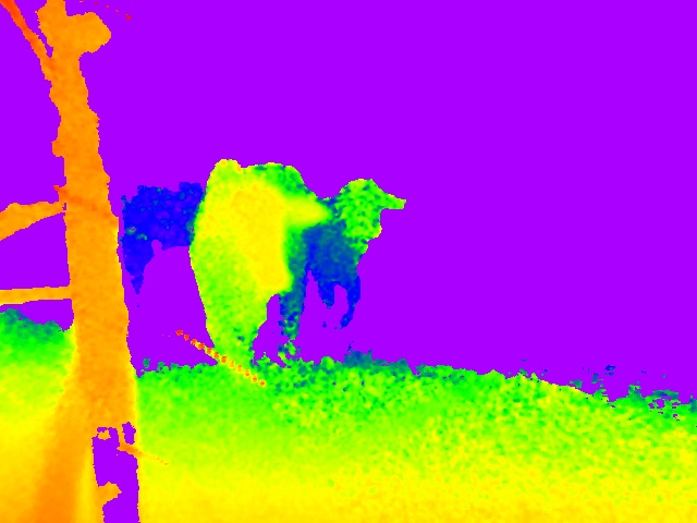 Cattle Detection Semantic Segmentation Dataset By Vinicius Cesar
