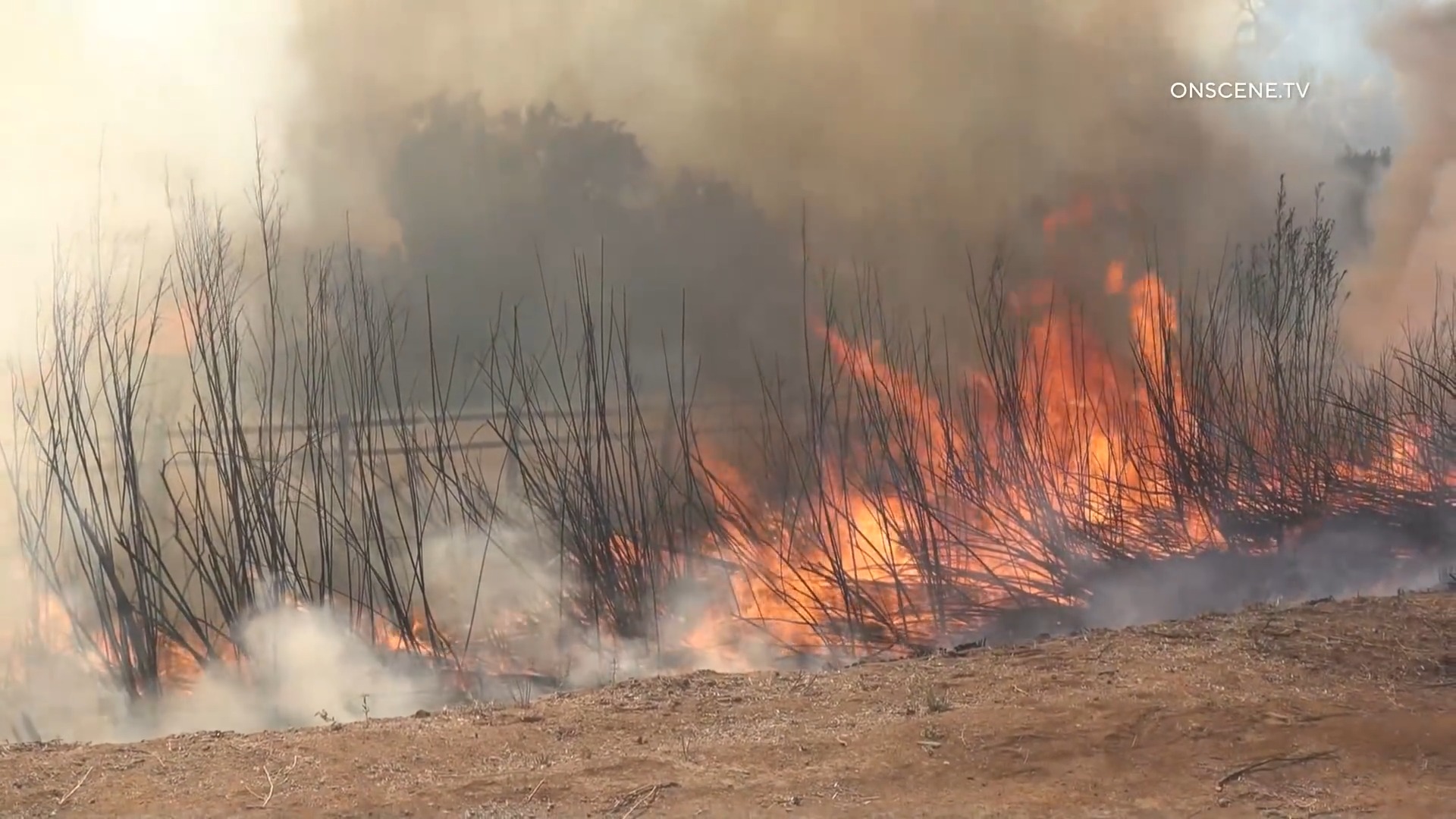 feature extraction - Roboflow Universe