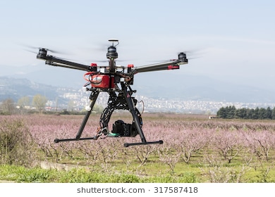 How to Use the Module 2 Assignment Object Detection API