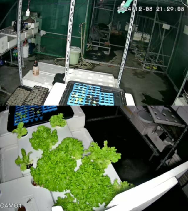 How to Use the lettuce_AIC Object Detection API