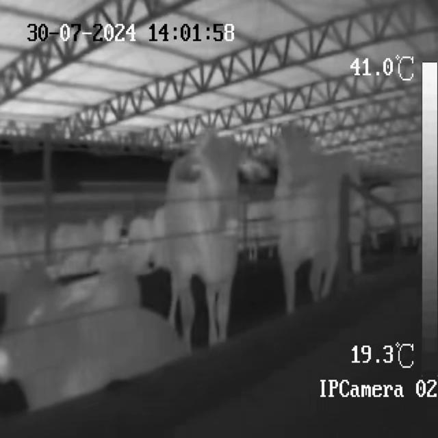 Abson - Roboflow Universe