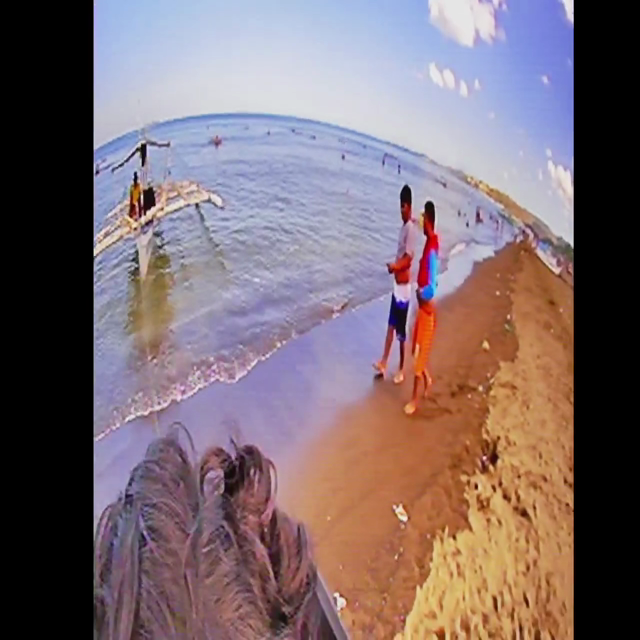 Detectron2 Instance Segmentation Dataset by ThesisSEER