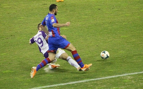 ball detection Object Detection Dataset by yolo