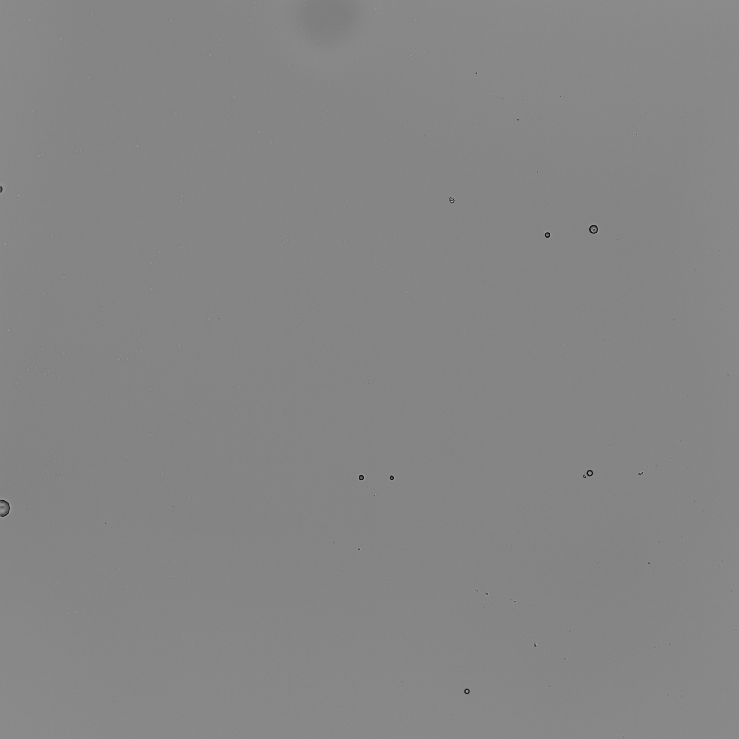 Pedetection Object Detection Dataset And Pre Trained Model By Pedartaset
