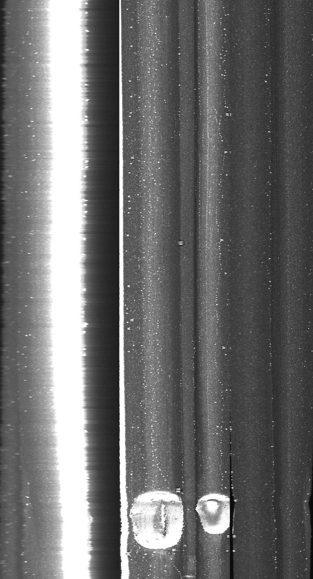 SS_Update_False_Positive Object Detection Dataset by SSUpdate