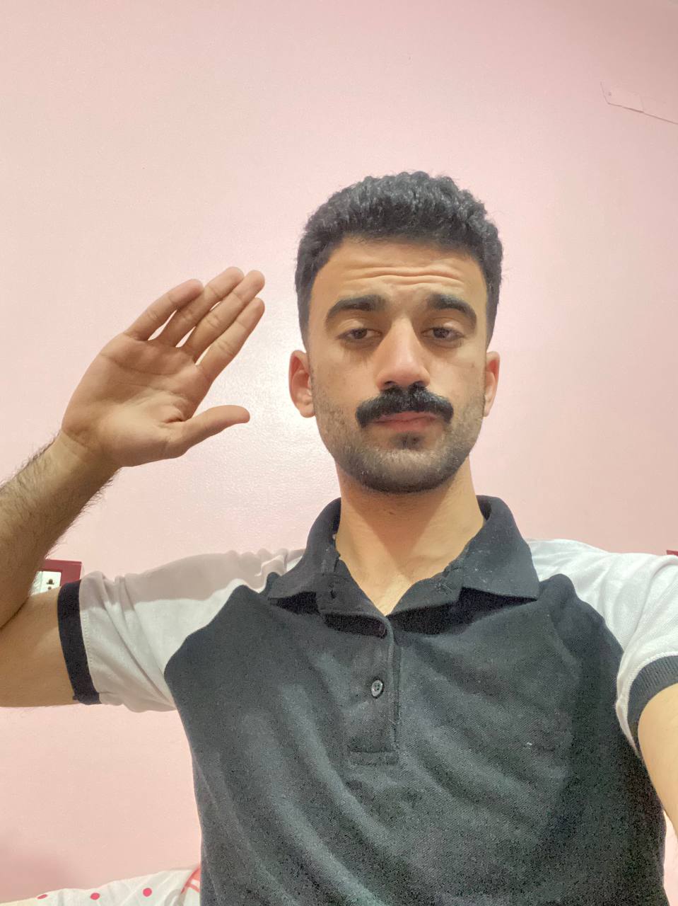 sl Object Detection Dataset and Pre-Trained Model by Mahmoud