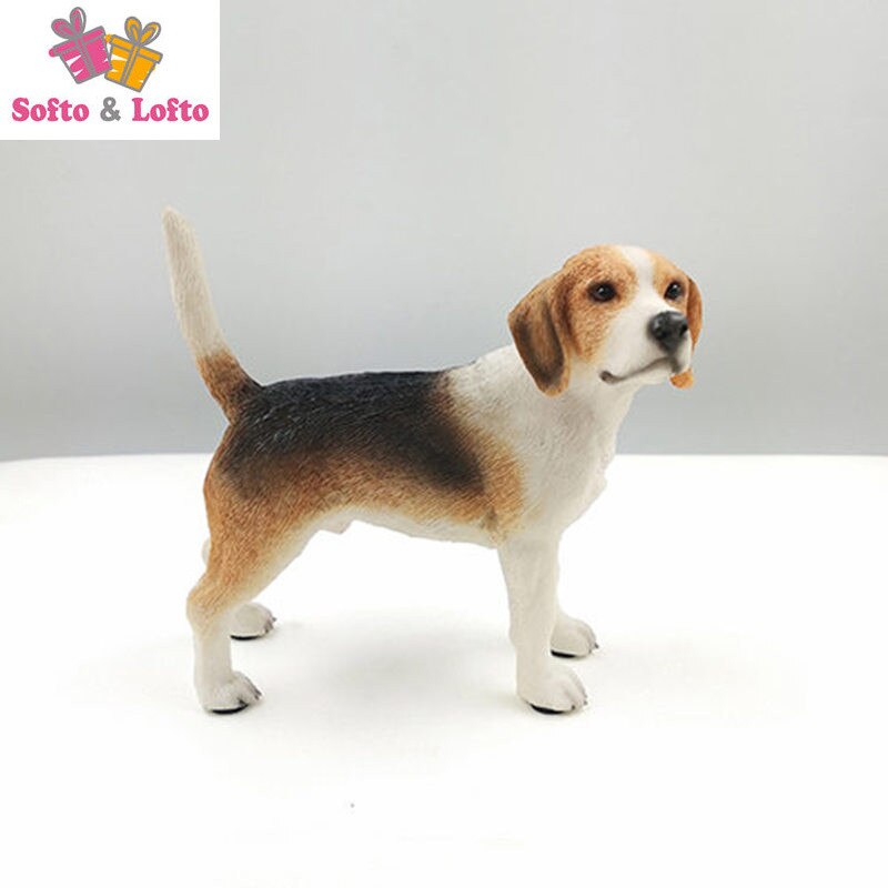 Beagle Object Detection Dataset by Practice