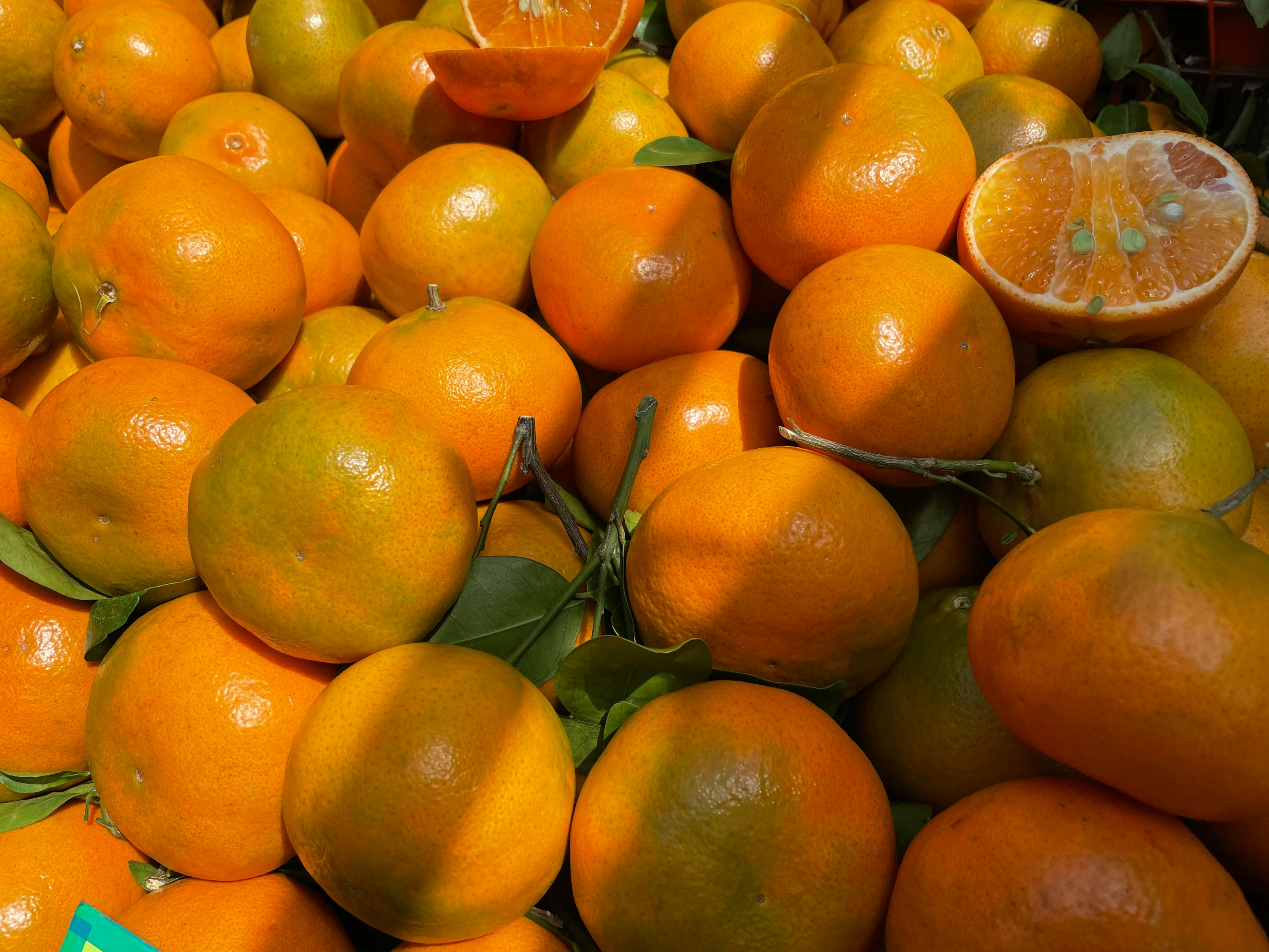 jeruk (jeruk-avmsg) - Roboflow Universe