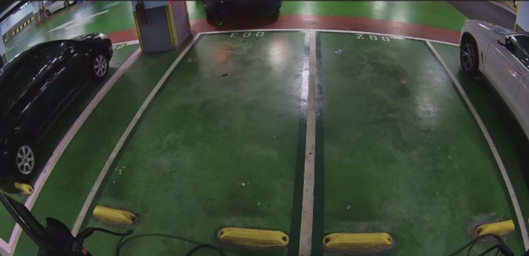 pkssm_polygon Instance Segmentation Dataset by Jessicatest