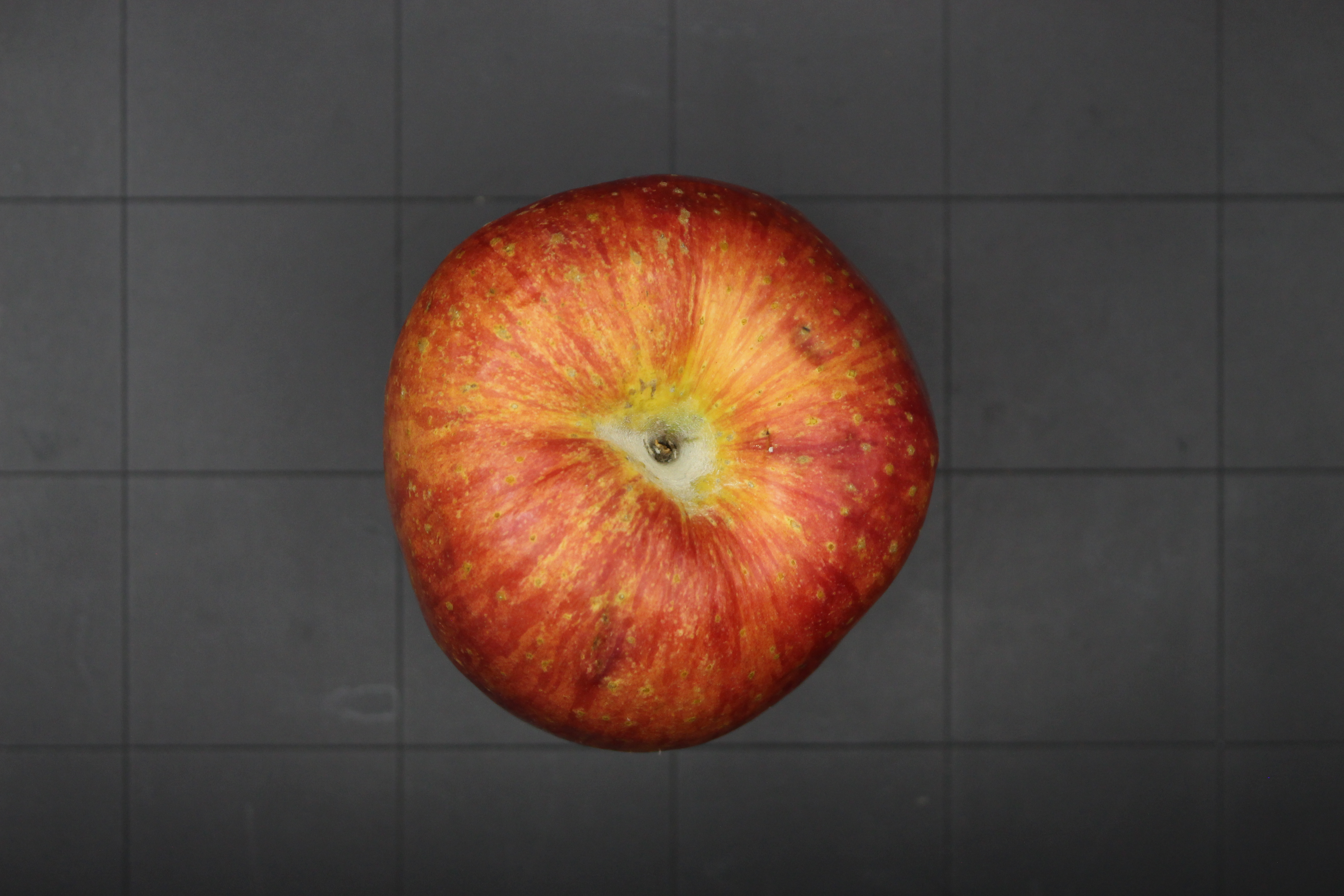 Apple Object Detection Model by Rita