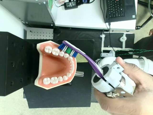 Brushing_Segmentation Instance Segmentation Model by Pradeep Roy