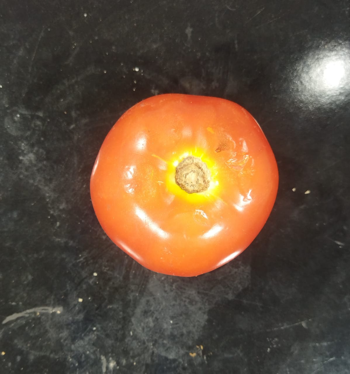 Domates Object Detection Dataset And Pre Trained Model By Bitki Tespit