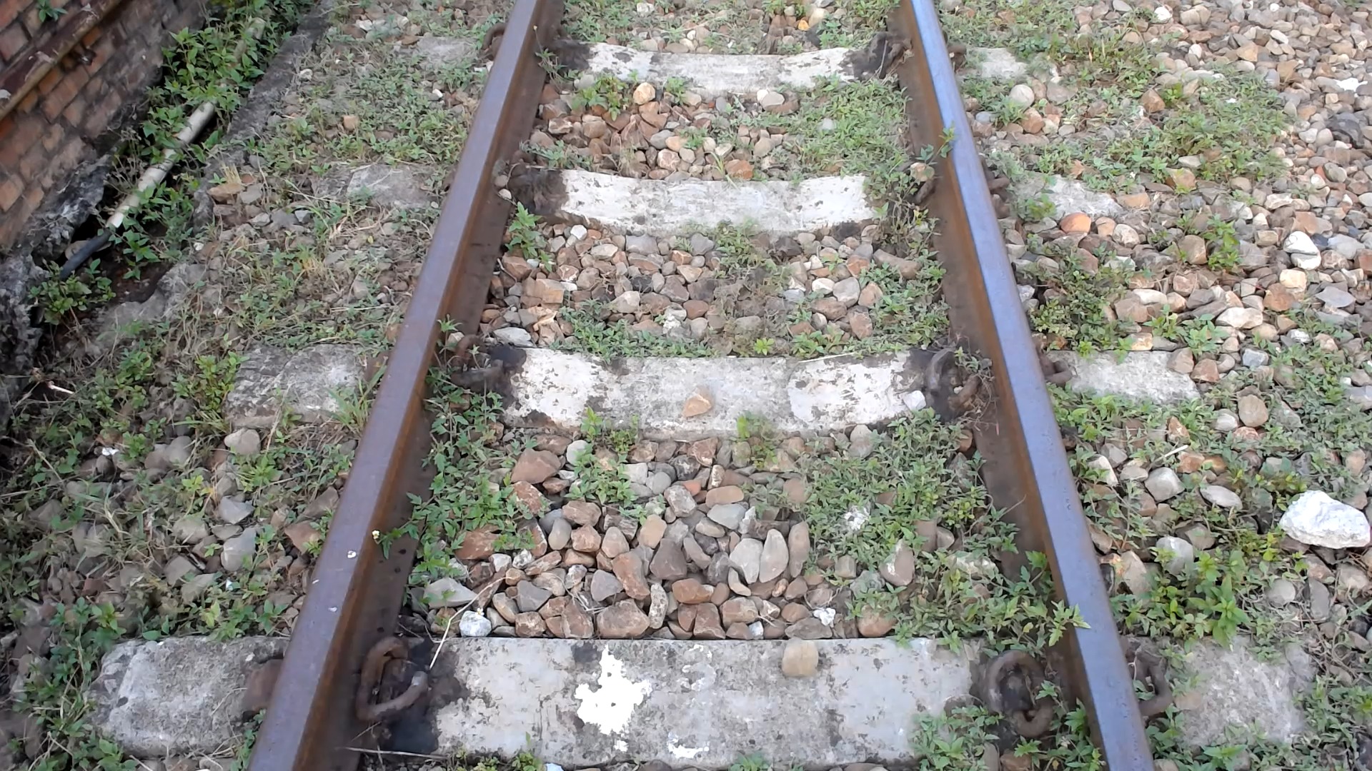 caronrial 2 Instance Segmentation Dataset by project-v9fbe