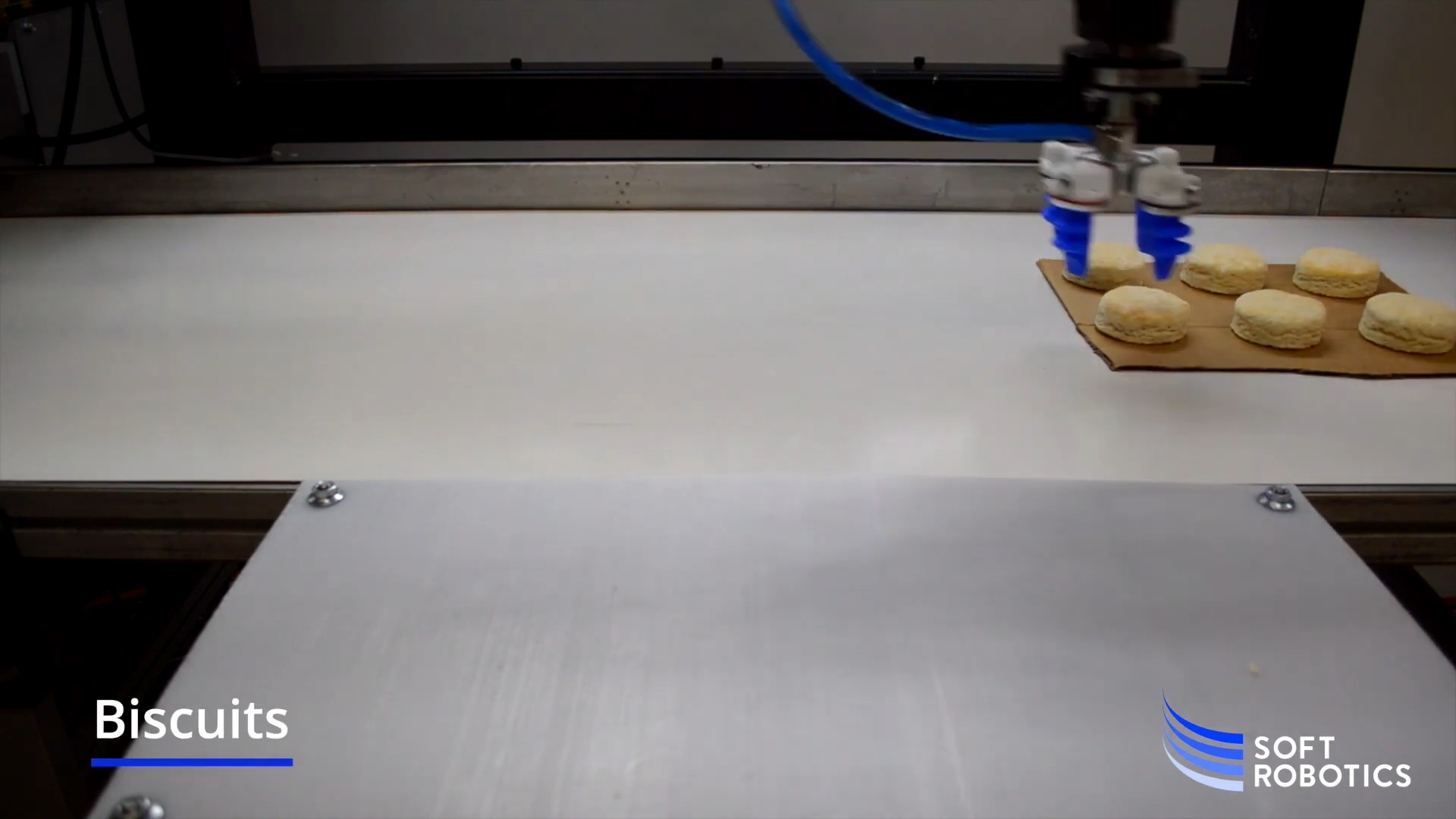 Sorting cookie Object Detection Dataset by SUT