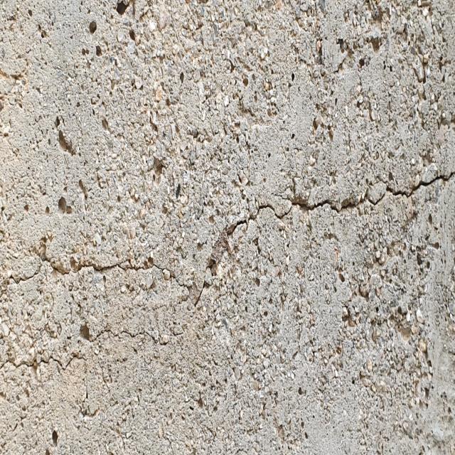 cck Instance Segmentation Model by IIIT Naya Raipur