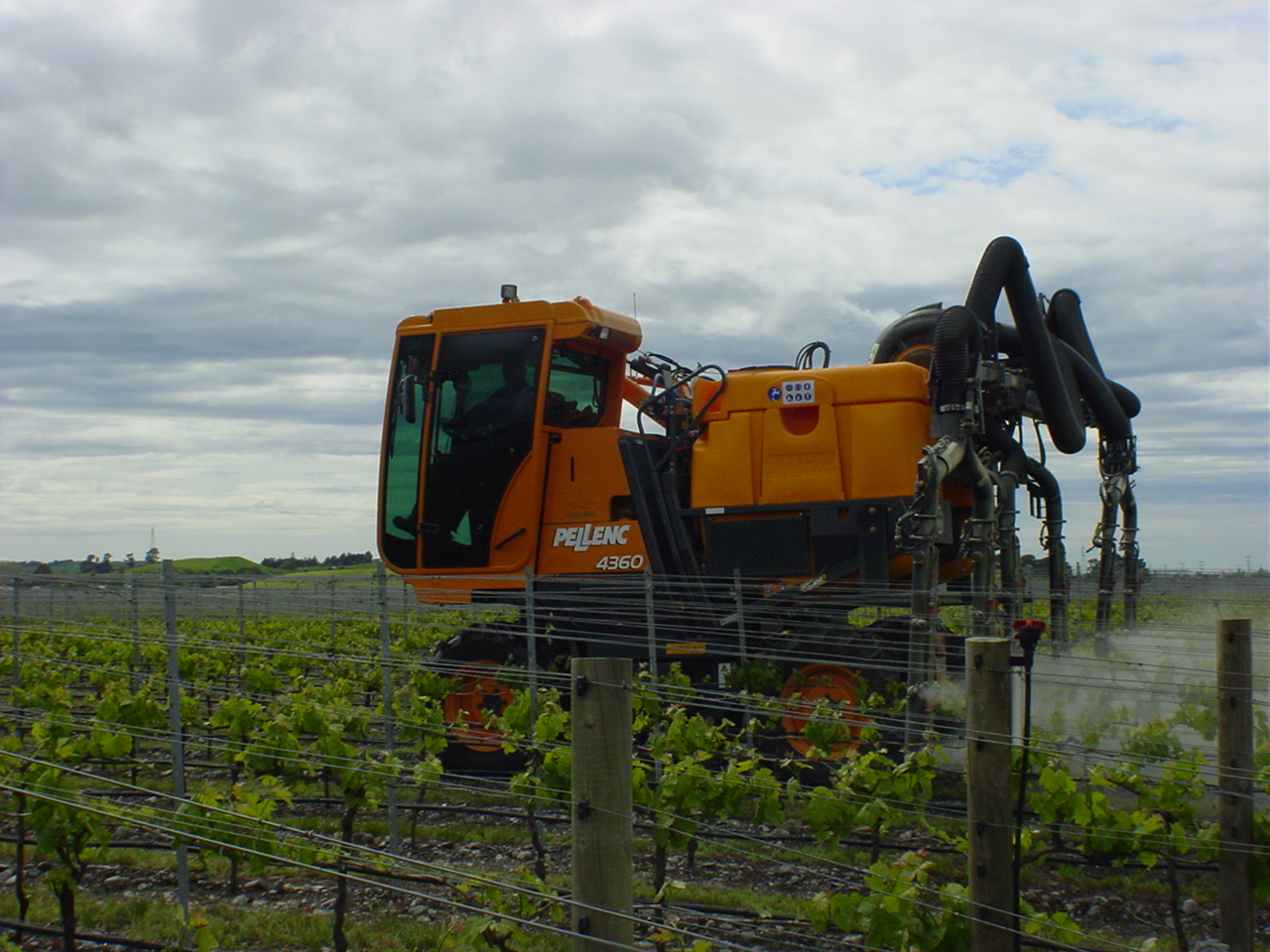 grapevine_object_detection_detailed_labeling Object Detection Dataset and Pre-Trained Model by ...