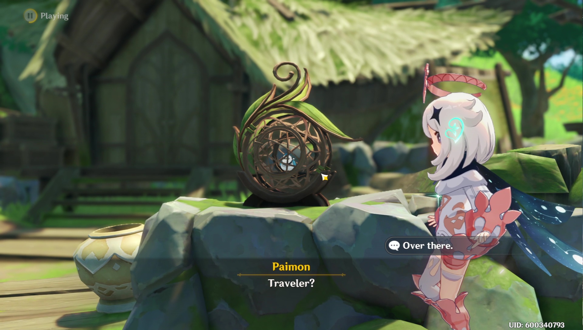 Genshin Object Detection Dataset and Pre-Trained Model by Will End