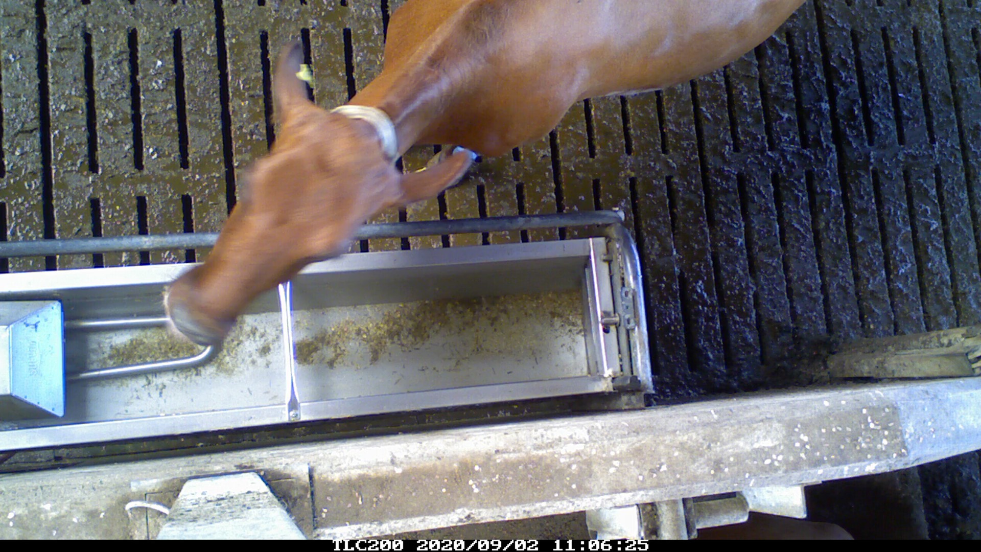 RPTU (rptu-ljota) - Roboflow Universe