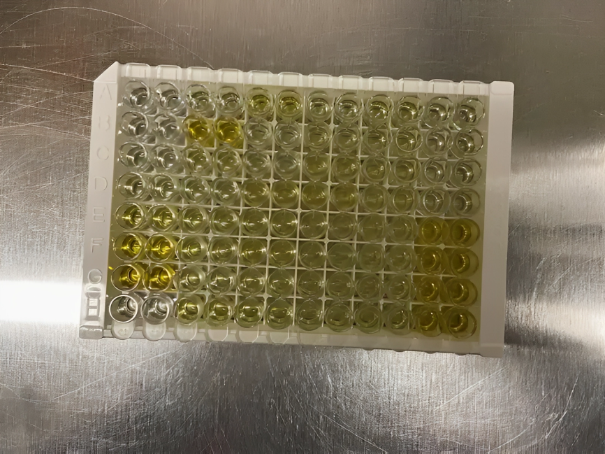 Sample Mobilenet Object Detection Dataset V4 2024 04 07 4 28pm By Sample