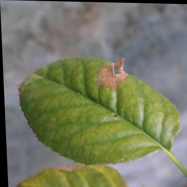 Detect Something Instance Segmentation Dataset by Ai Training