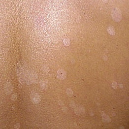 training set Instance Segmentation Dataset by classification