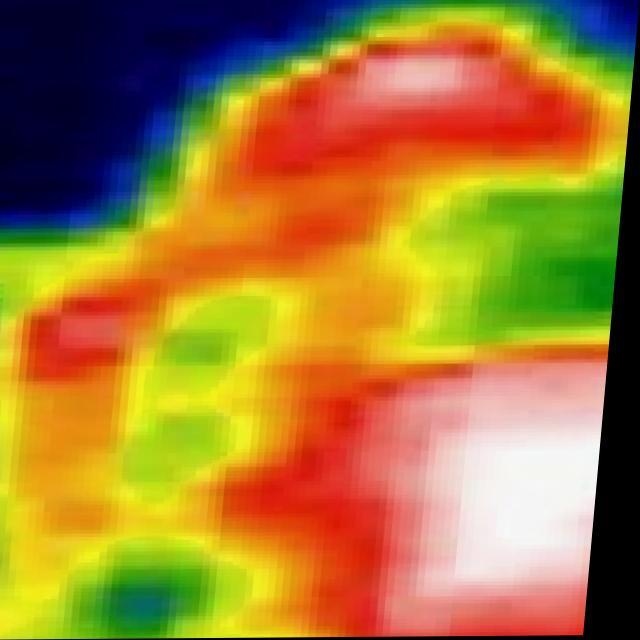 thermal dogs and people Object Detection Dataset by thermal