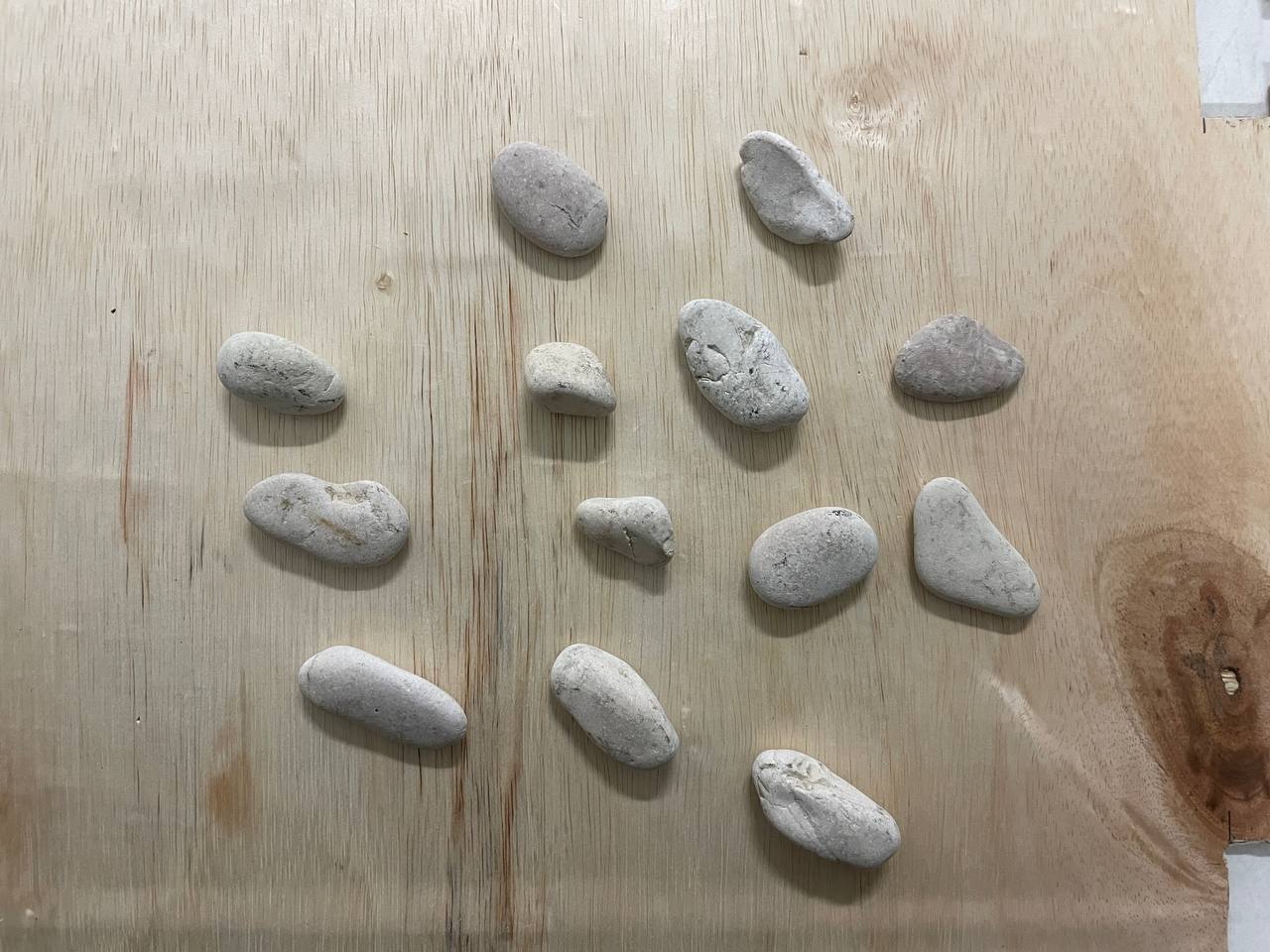 Medan Object Detection Model by Hexapod