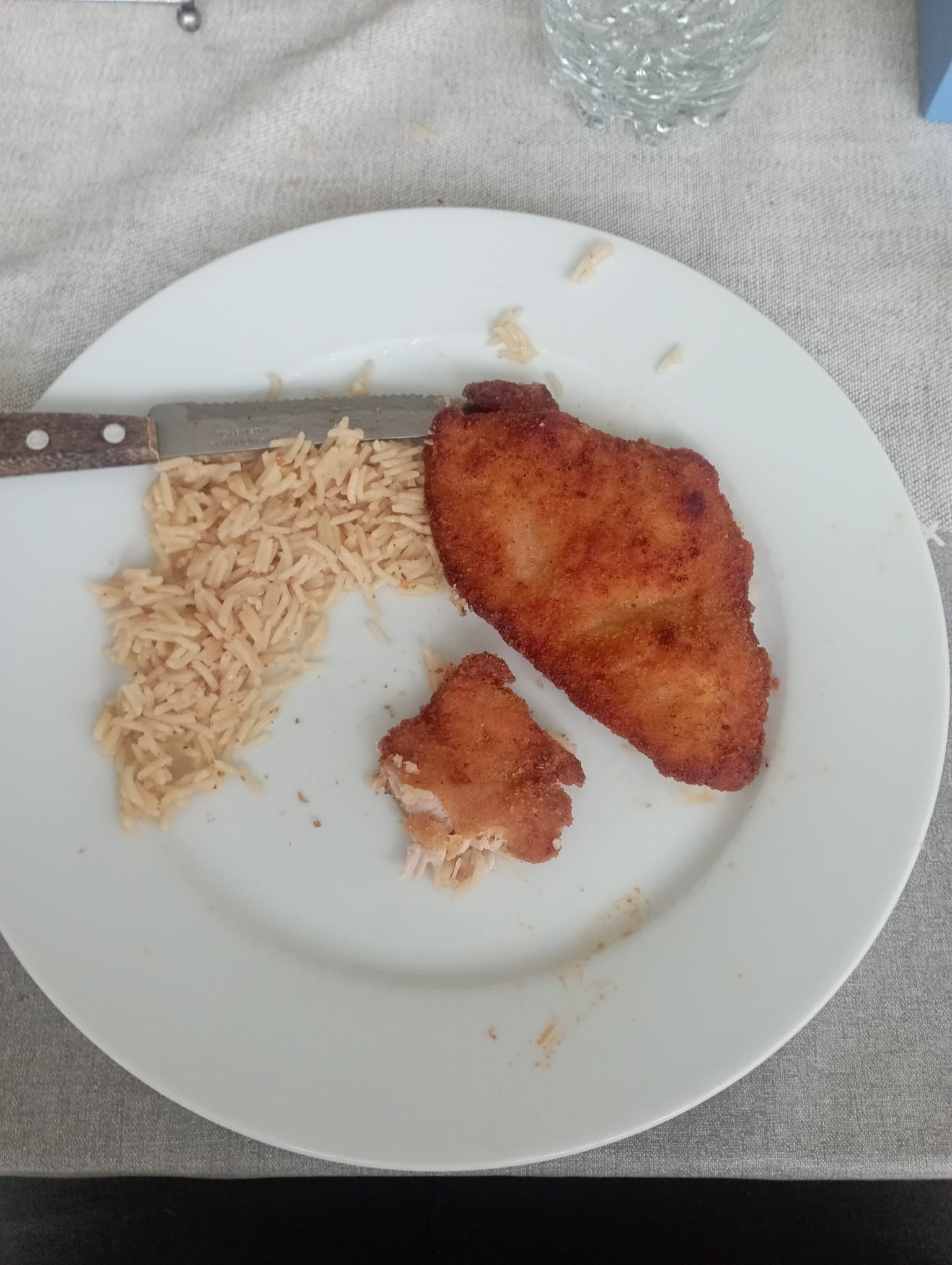 How to Use the PROJ3 - Food waste detection Instance Segmentation API