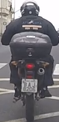 license_plate_detector Object Detection Model by test
