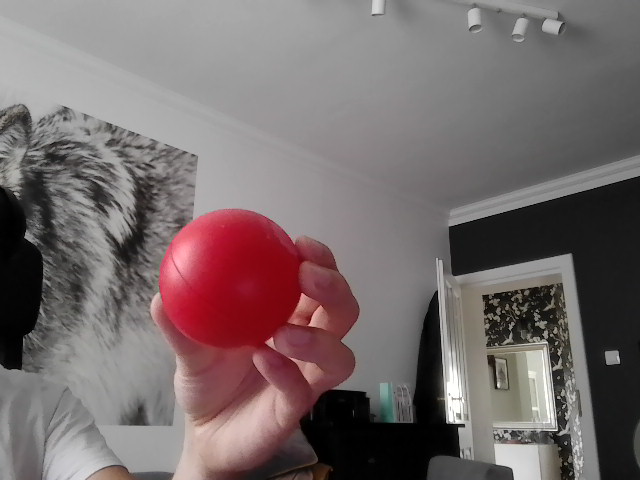 Ball Detection Object Detection Dataset (v1, 2024-08-05 10:22am) by BallDetect