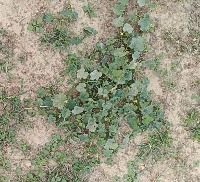 Planning (planning-9pnty) - Roboflow Universe