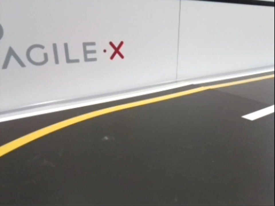 How to Use the robot autonome Instance Segmentation API