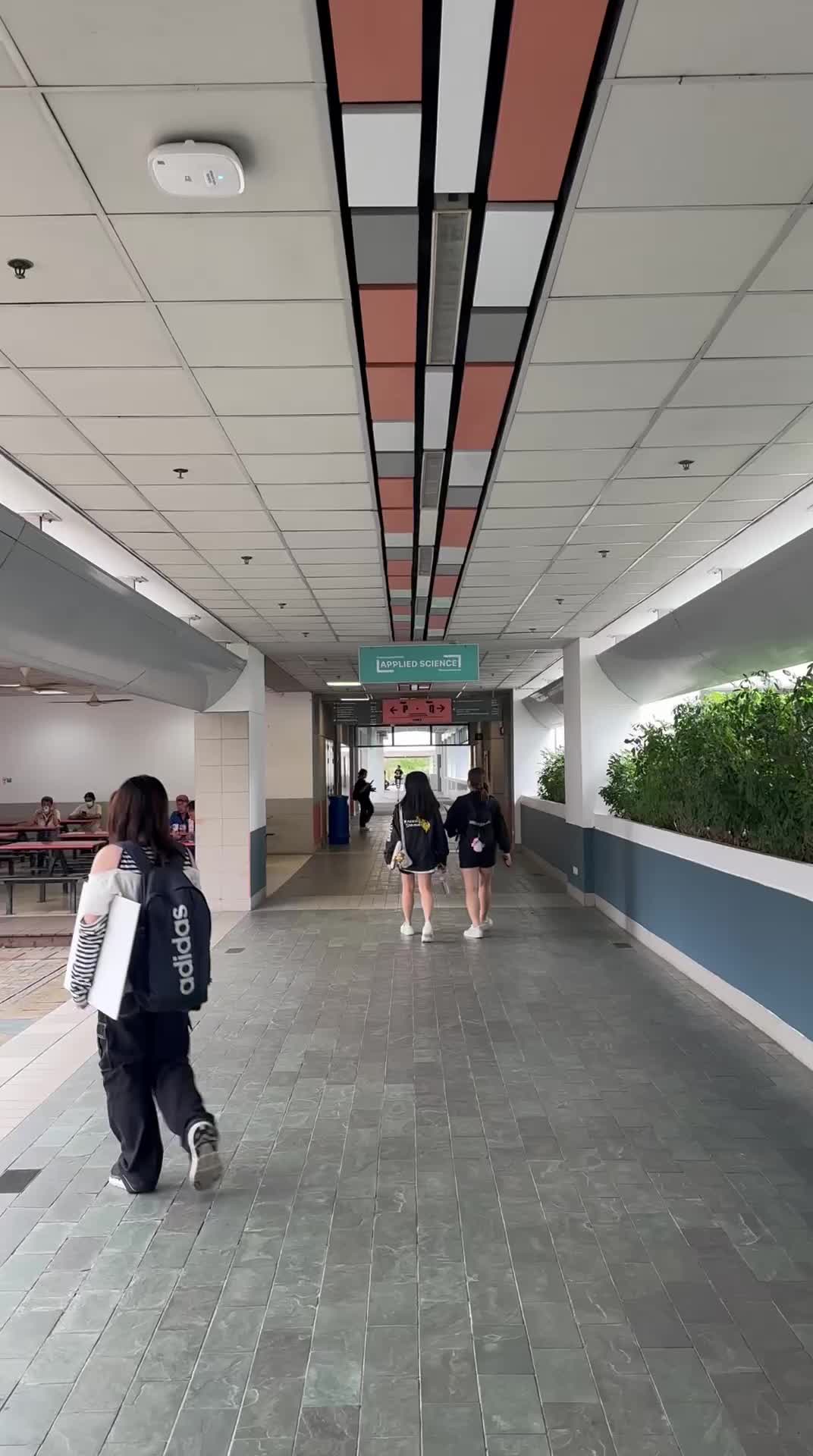 Phase 3 Object Detection Dataset and Pre-Trained Model by FYP Project