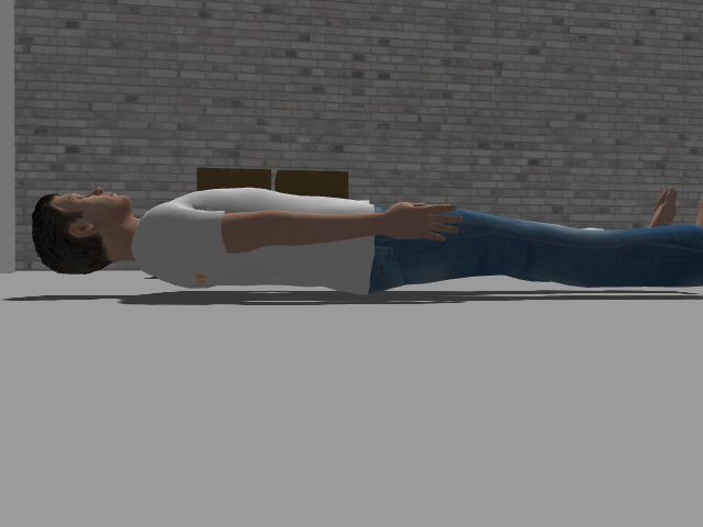 suffocated people Object Detection Dataset by elte