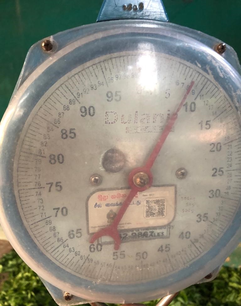 Scaler Gauge Detection Instance Segmentation Dataset By Lakmal Siriwardhana