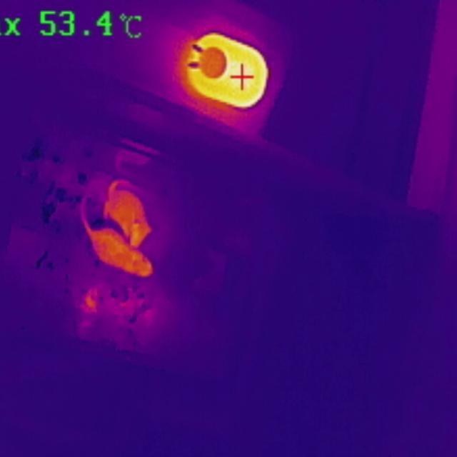 Mouse Object Detection Model by MEL