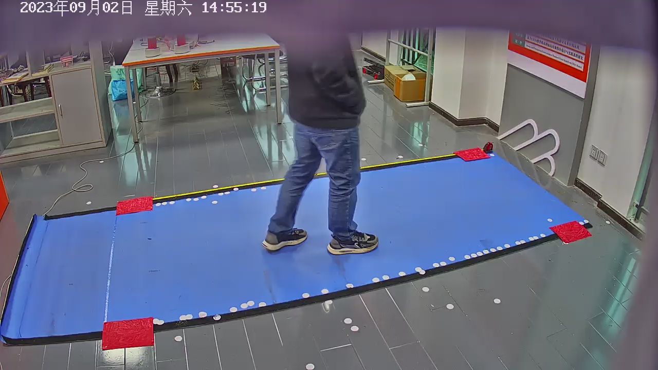 Left and right feet Object Detection Model by project-hhnpd