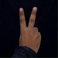 handigo - Roboflow Universe