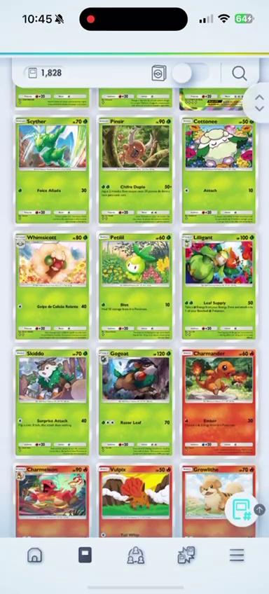 Pokemon TCGP Tracker Object Detection Dataset by Studies