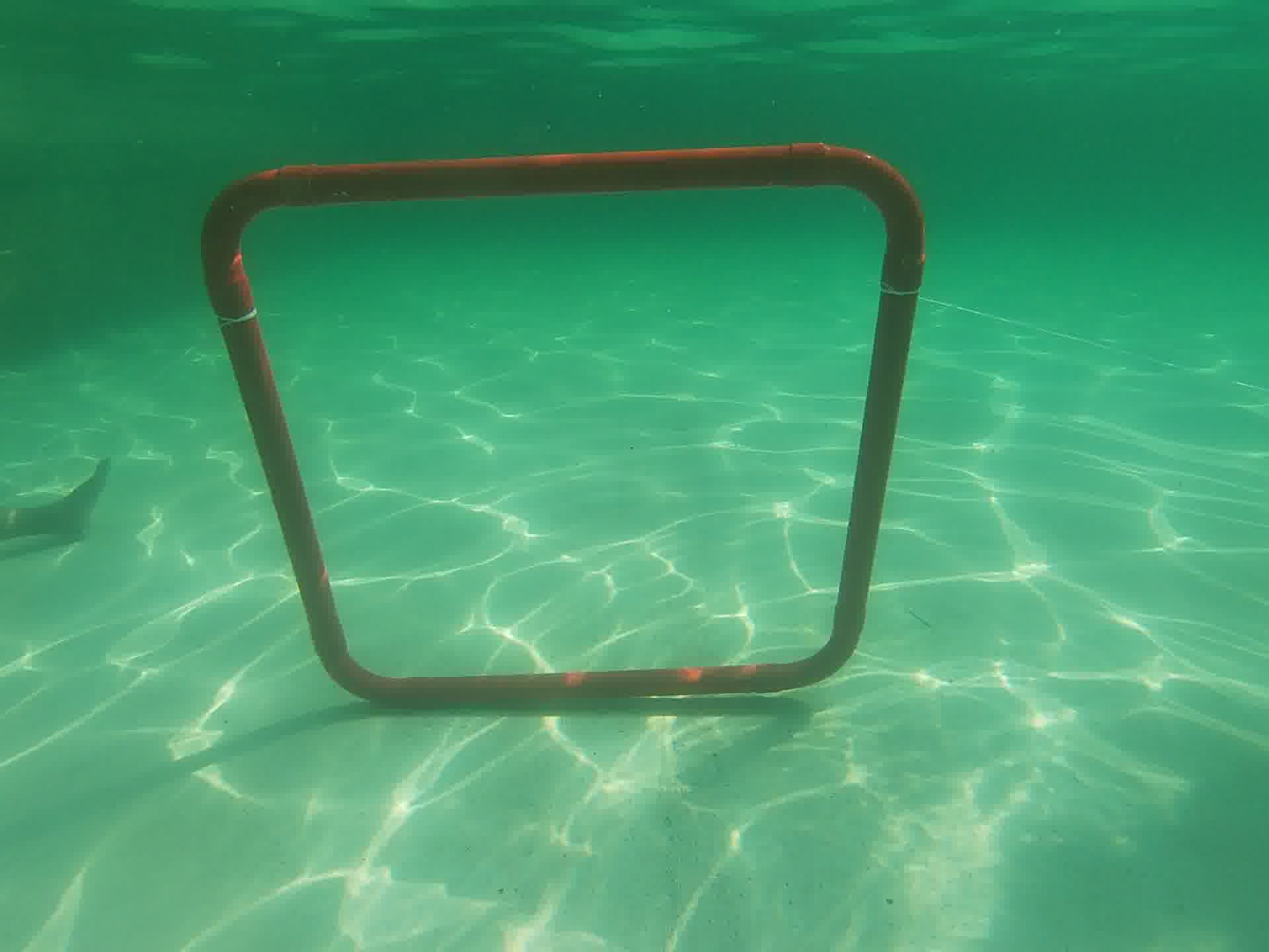 red Object Detection Dataset and Pre-Trained Model by Aqua vision