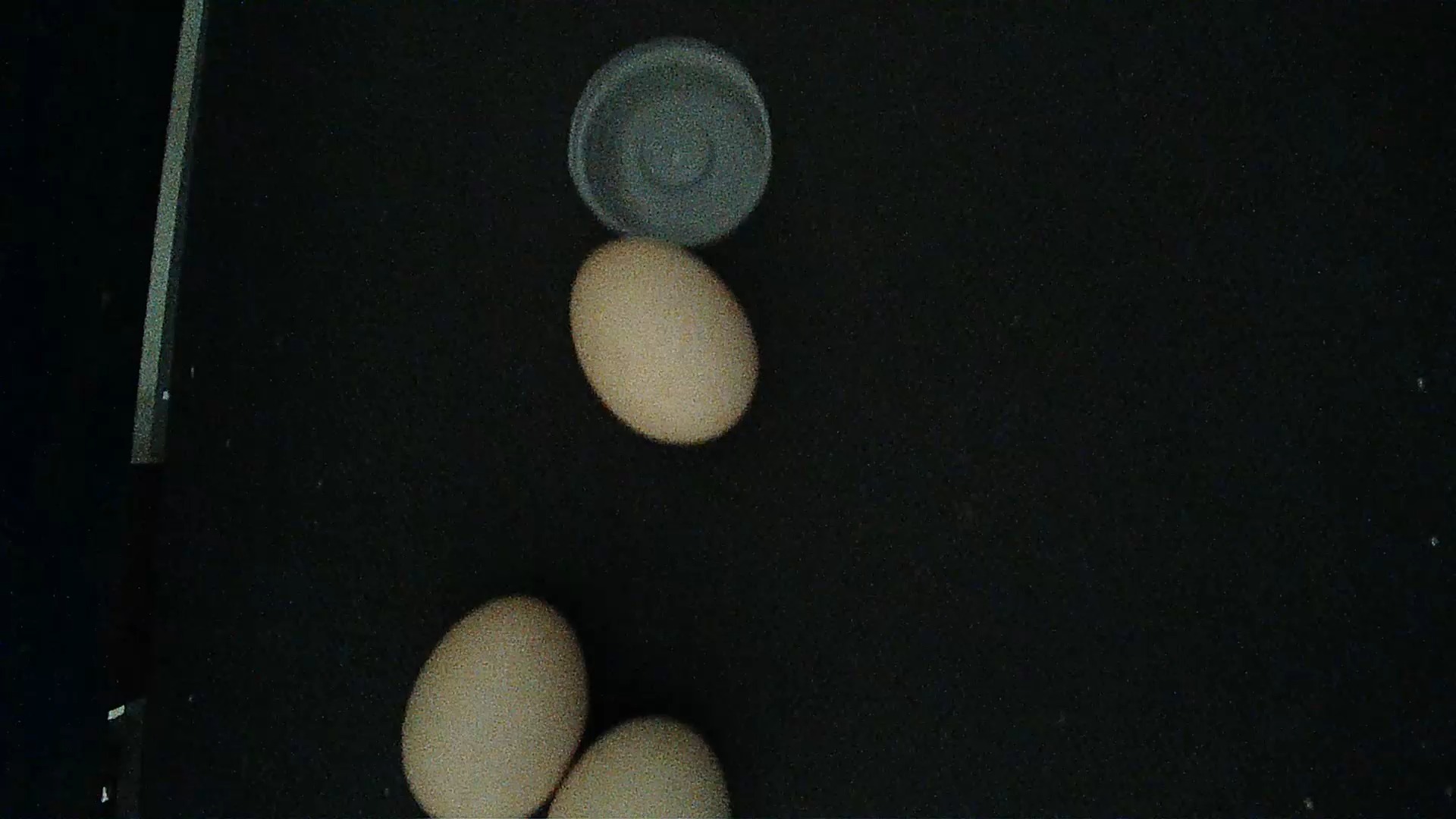 Egg clasification Object Detection Dataset by Amar2