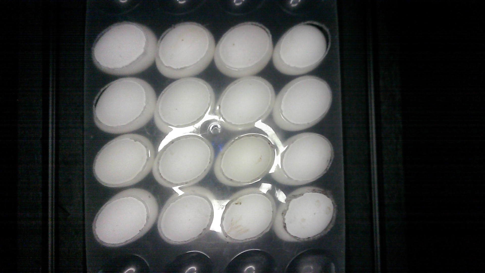 Egg gradind bottom side Object Detection Dataset and Pre-Trained Model by egg cracking