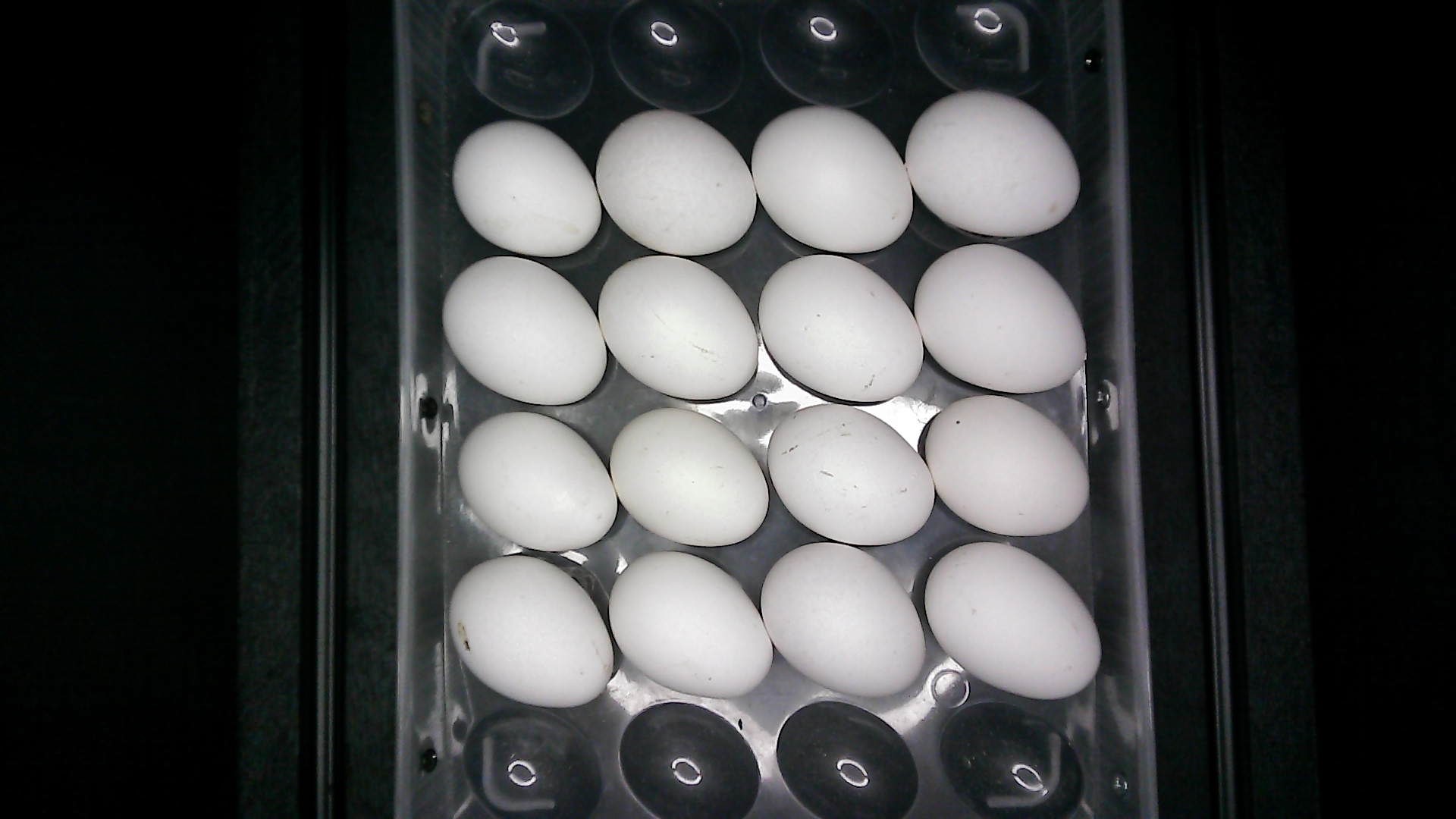 Egg Grading Object Detection Dataset and Pre-Trained Model by egg cracking