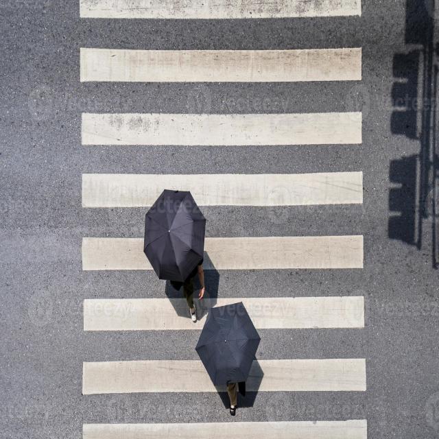 Crosswalk Others Object Detection Dataset By Project Wdkej